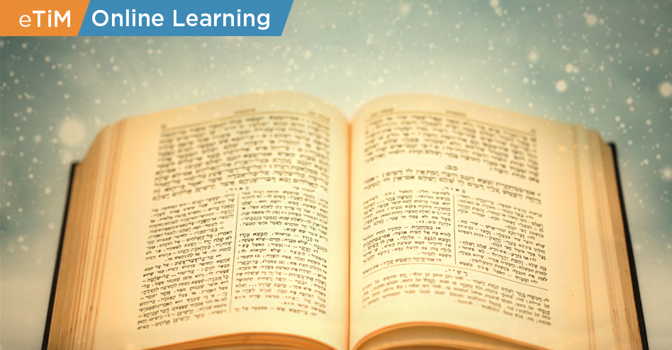 Christmas Eve: Is it a Time for Torah Study? | Torah In Motion
